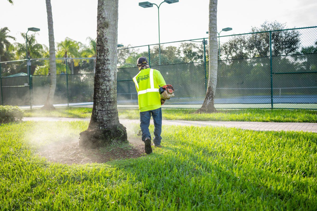Client-focused Commercial Landscaping Services in Boynton Beach, FL